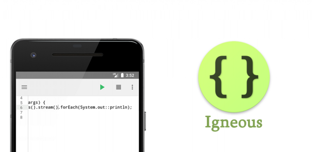 Igneous - IDE for Java dashboard in Crowdin