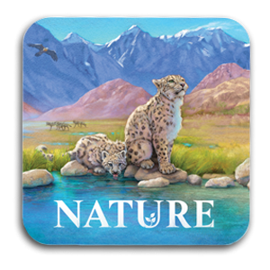 Nature Digital Board Game dashboard in Crowdin
